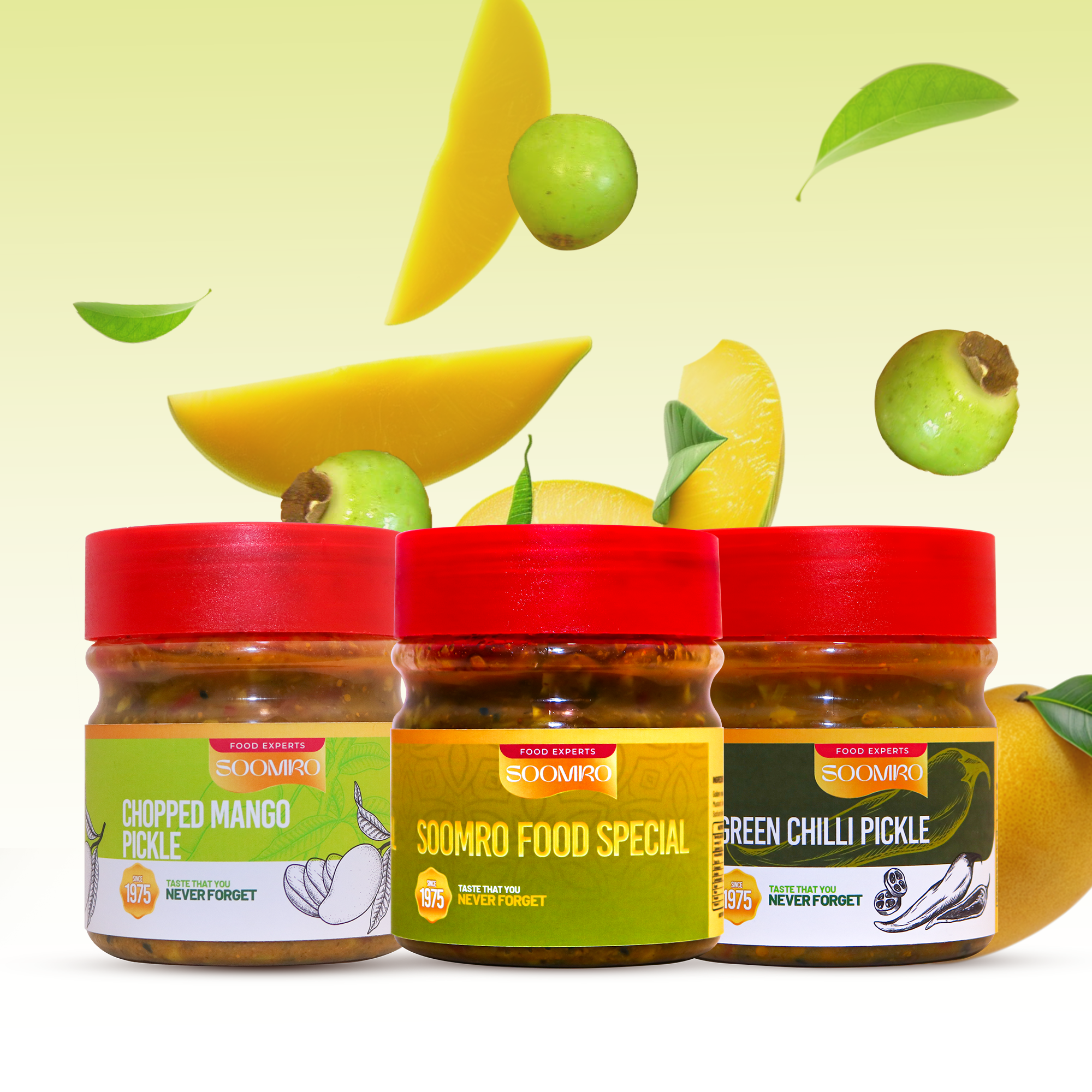 The Spicy Trio – Soomro Foods
